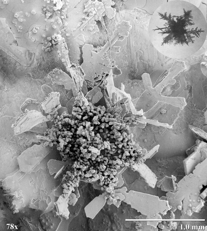 25 Microscopic Images of Snow Crystals » TwistedSifter