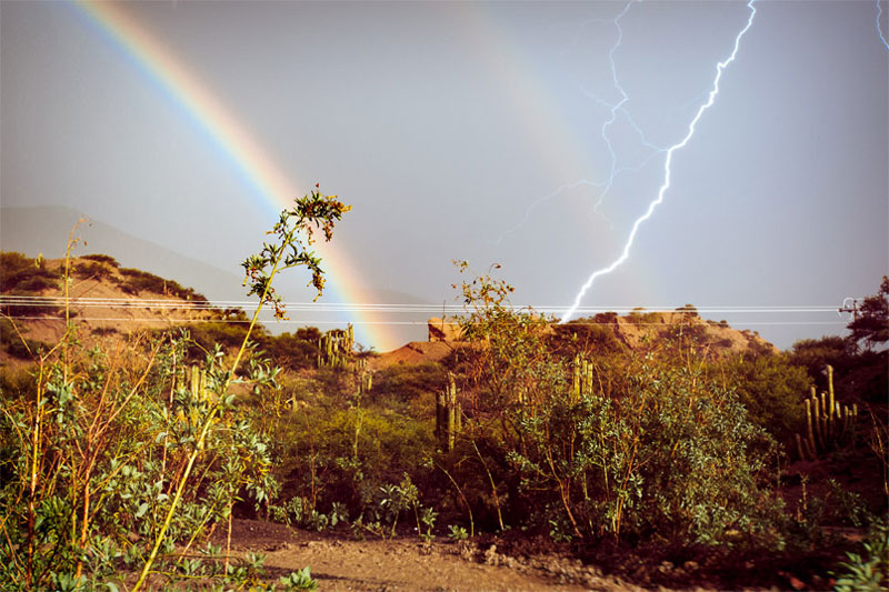 The 50 Most Perfectly Timed Photos Ever - TwistedSifter