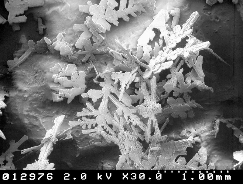 25 Microscopic Images of Snow Crystals - TwistedSifter