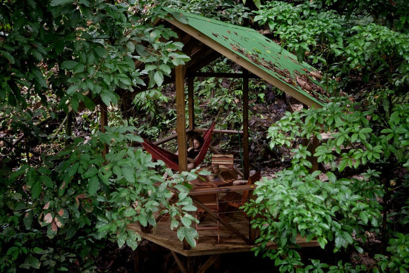 This Couple Built a Real-Life Ewok Village in Costa Rica » TwistedSifter