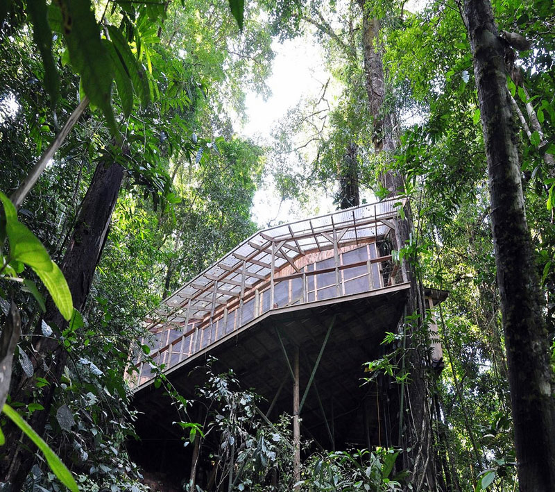 This Couple Built a Real-Life Ewok Village in Costa Rica » TwistedSifter