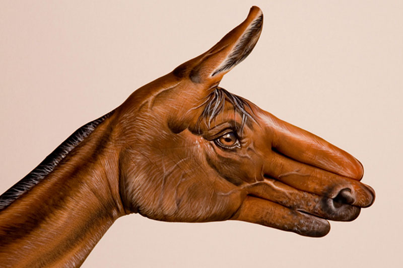 This Artist Transforms Human Hands into All Kinds of Animals ...