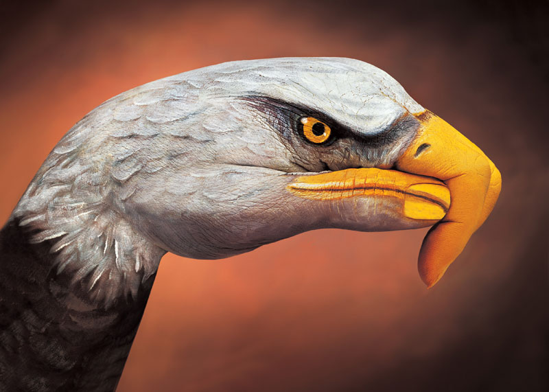 This Artist Transforms Human Hands into All Kinds of Animals ...