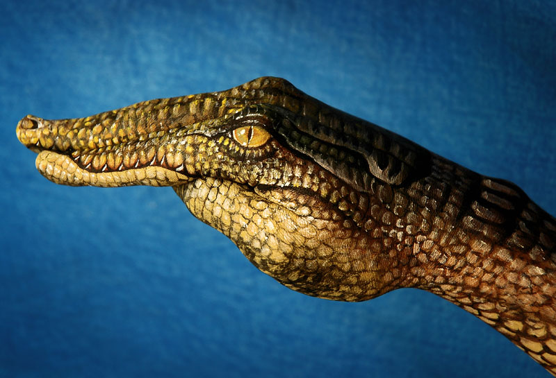 This Artist Transforms Human Hands into All Kinds of Animals ...
