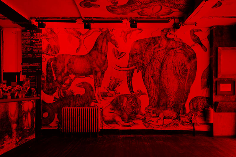 RGB Murals that Transform under Different Colored Lights » TwistedSifter