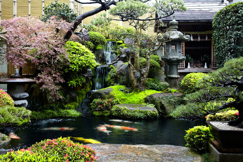Picture of the Day: Backyard Garden in Japan » TwistedSifter
