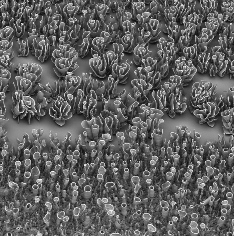 Self-Assembling Nano Flowers Grown in Lab » TwistedSifter