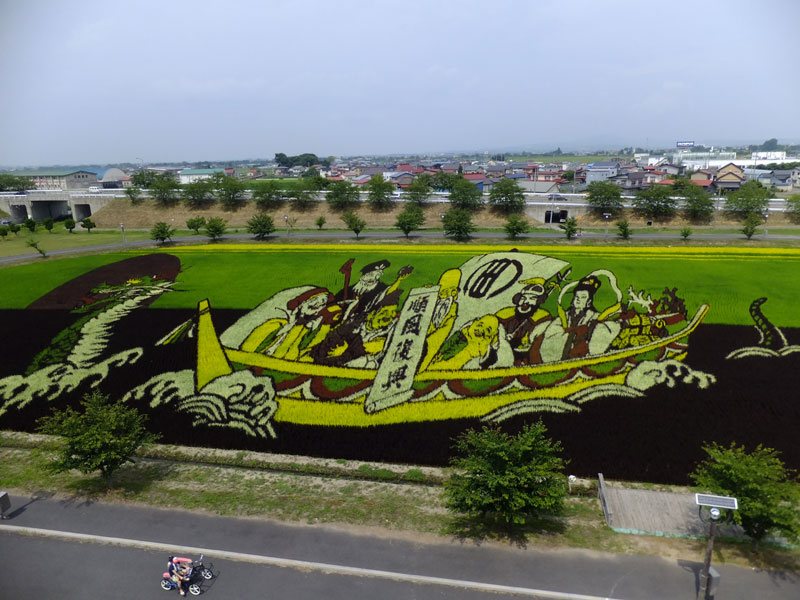 Giant Living Artworks ‘Grown’ on the Rice Fields of Japan » TwistedSifter