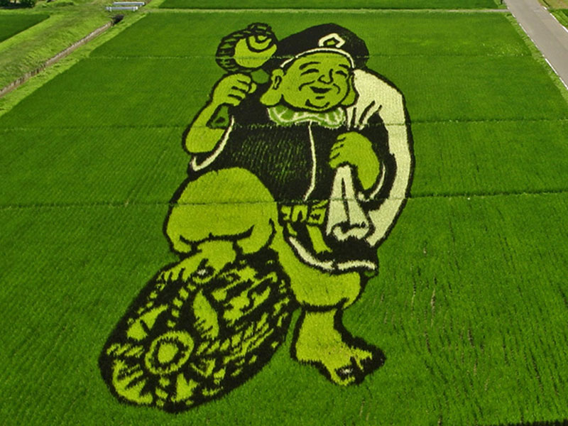Giant Living Artworks ‘Grown’ on the Rice Fields of Japan » TwistedSifter