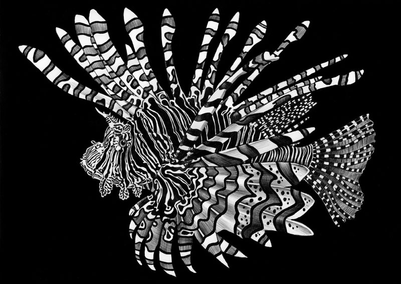 Detailed Animal Drawings Using Only Ink - TwistedSifter