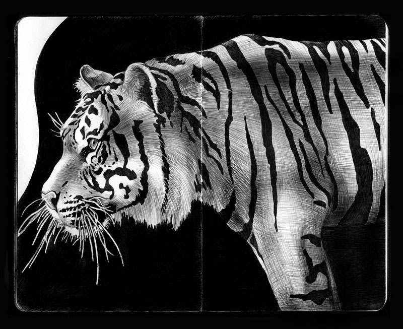 Detailed Animal Drawings Using Only Ink » TwistedSifter
