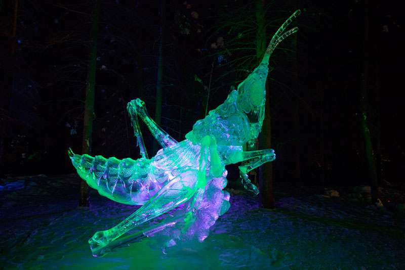 Amazing Sculptures Carved from a Single Block of Ice » TwistedSifter