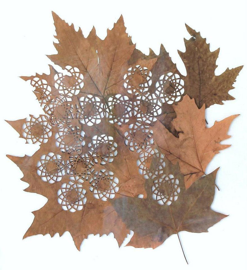 Precision Cut Leaf Artworks by Lorenzo Duran - TwistedSifter