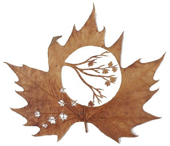 Precision Cut Leaf Artworks by Lorenzo Duran - TwistedSifter