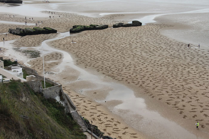 Volunteers Etch 9000 Figures onto Normandy Beach in D-Day Memorial ...