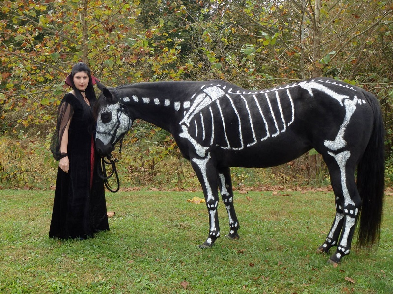This Horse Wins Halloween » TwistedSifter