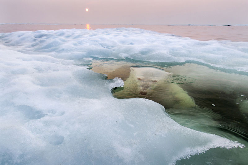 Picture of the Day: Nat Geo’s 2013 Photo Contest Grand Prize Winner ...