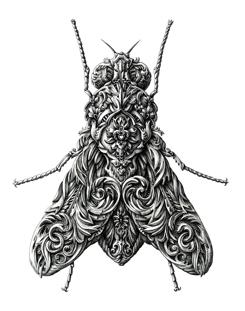 Incredibly Intricate Ink Illustrations by Alex Konahin » TwistedSifter