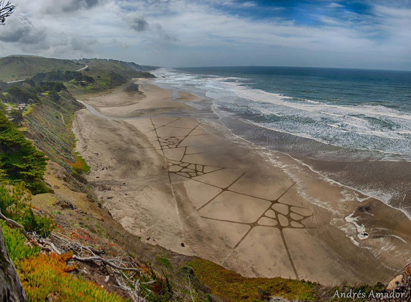 Artist Uses Rake to Create Incredible Works of Art on the Beach ...