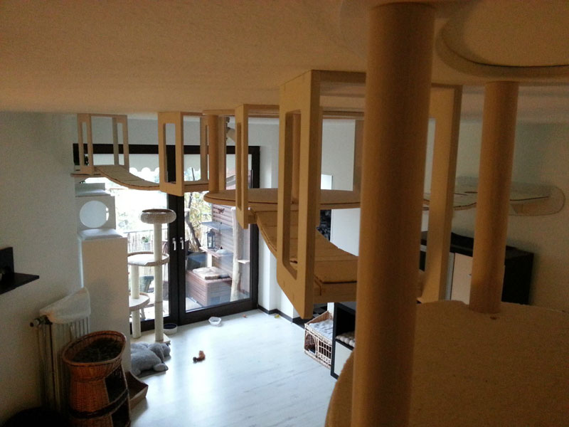 This Furniture Gives New Meaning to the Term ‘Ceiling Cat’ » TwistedSifter