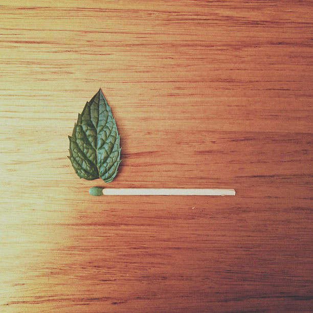 21 Creative Photos of Everyday Objects » TwistedSifter