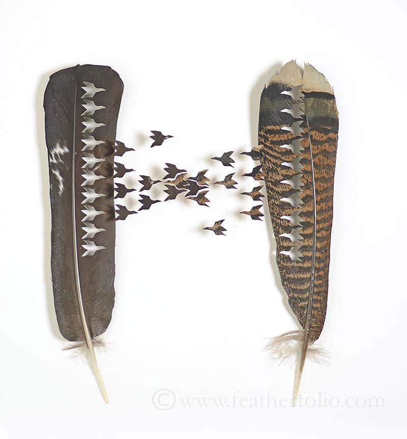 The Art of Cutting Feathers by Chris Maynard - TwistedSifter