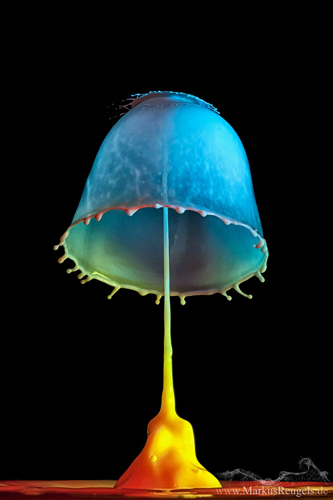 The Unseen Beauty of High Speed Water Drop Photography » TwistedSifter