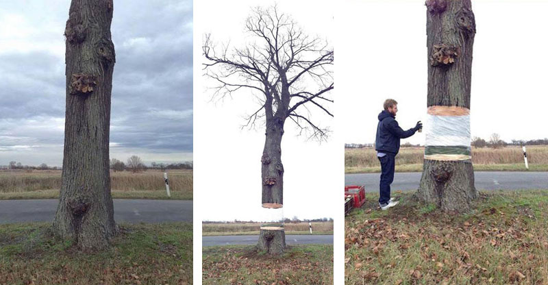 Artists Levitate Tree Using Foil and Spray Paint » TwistedSifter