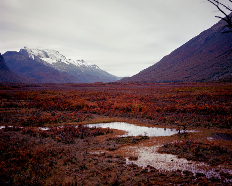 Night-Time Landscape Photos Completely Illuminated by Moonlight ...
