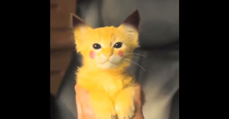 75 6-Second Illusions by Zach King » TwistedSifter