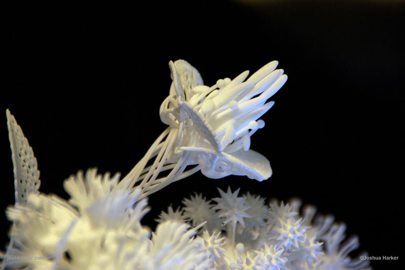 This 3D Printed Flower Bouquet is Incredible » TwistedSifter