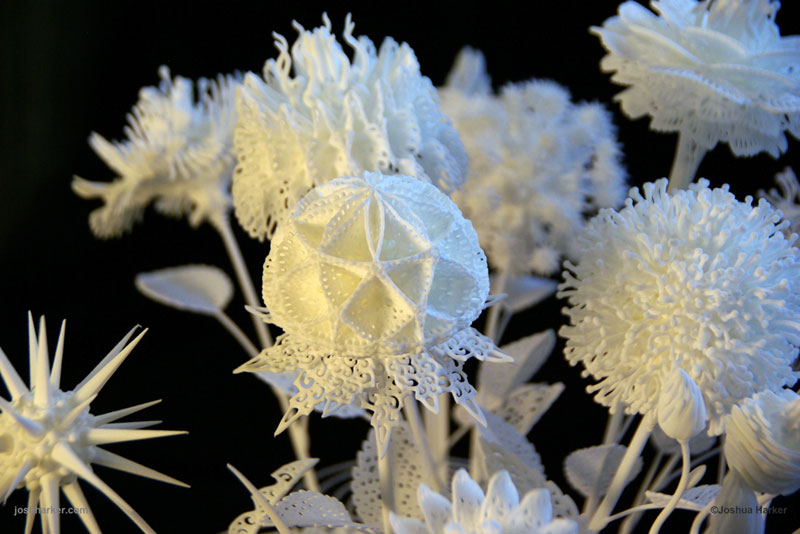 This 3D Printed Flower Bouquet is Incredible » TwistedSifter