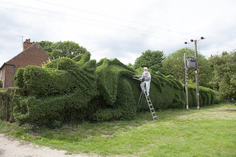 This Guy Spent 10 Years Making a Dragon-Shaped Hedge. His Reason Why is ...