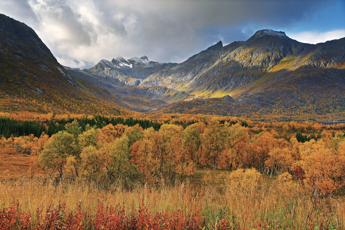 Picture of the Day: Autumn in Norway » TwistedSifter
