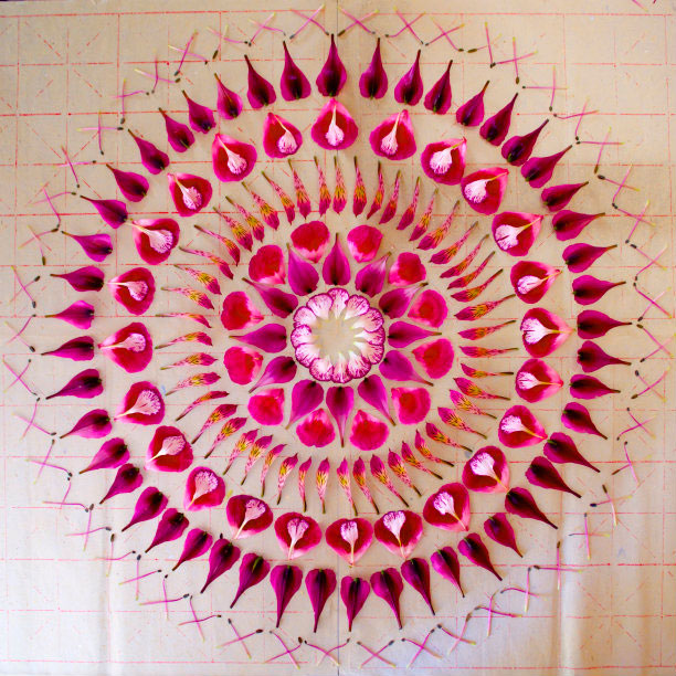 15 Flower Mandalas by Kathy Klein - TwistedSifter
