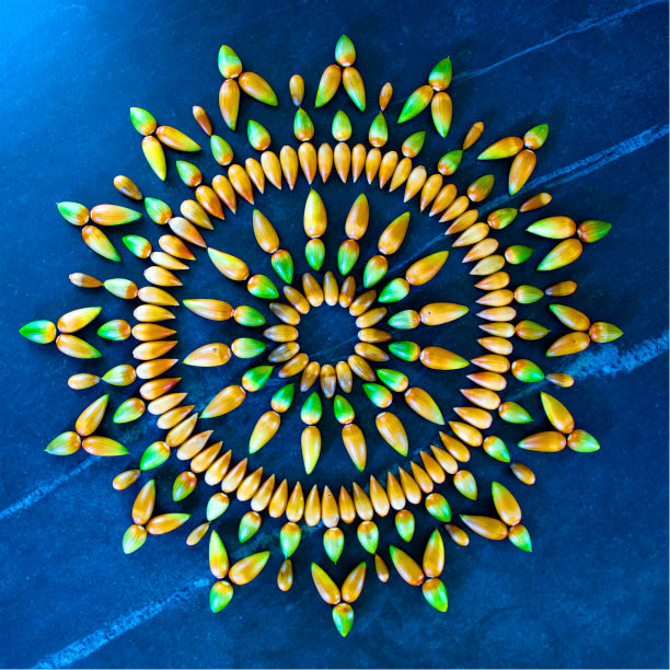 15 Flower Mandalas by Kathy Klein - TwistedSifter