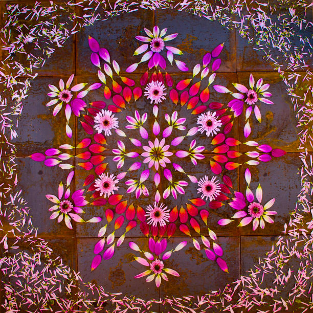 15 Flower Mandalas by Kathy Klein - TwistedSifter