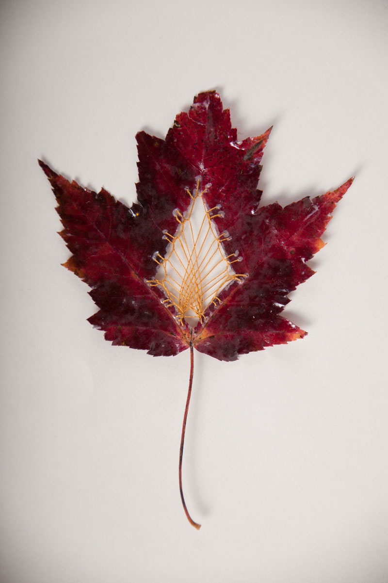 Stitching Leaves by Hillary Fayle » TwistedSifter