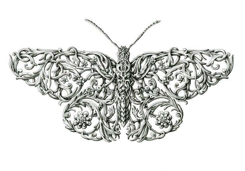 Ornate Ink Illustrations by Alex Konahin - TwistedSifter