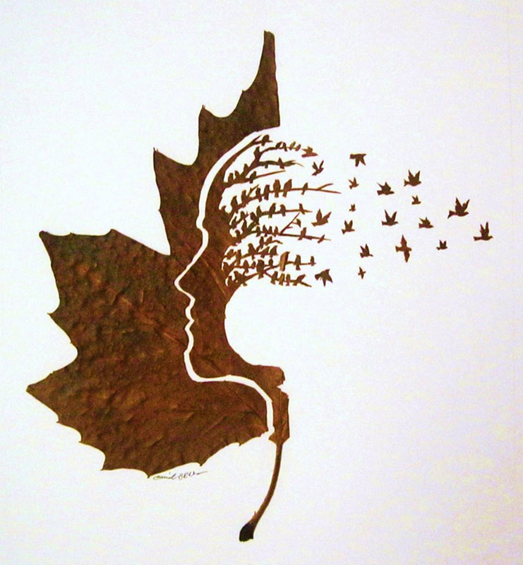 Incredible Artworks Carved into Naturally Fallen Leaves » TwistedSifter