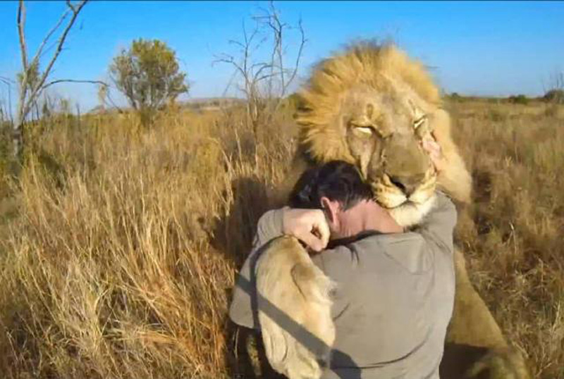 lion-hugging-lion-whisperer » TwistedSifter