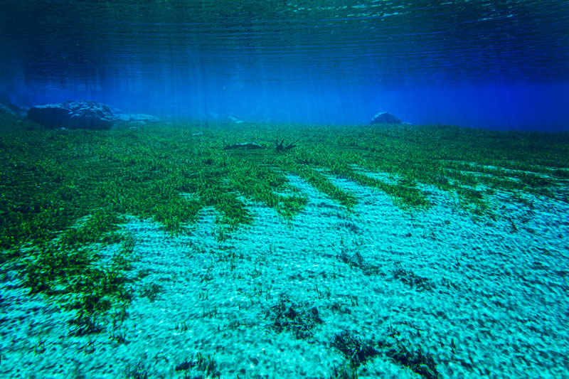 The Clearest Lake in the World is in New Zealand » TwistedSifter