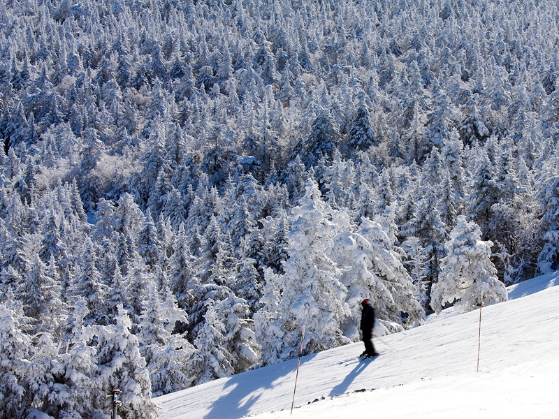 In 1968 Vermont Banned Billboards. Here's Why - TwistedSifter