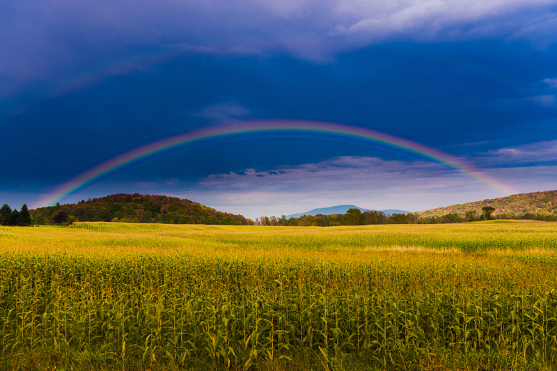 In 1968 Vermont Banned Billboards. Here's Why - TwistedSifter
