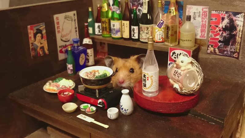 Hamster Shopkeepers Running Restaurants and Bars » TwistedSifter