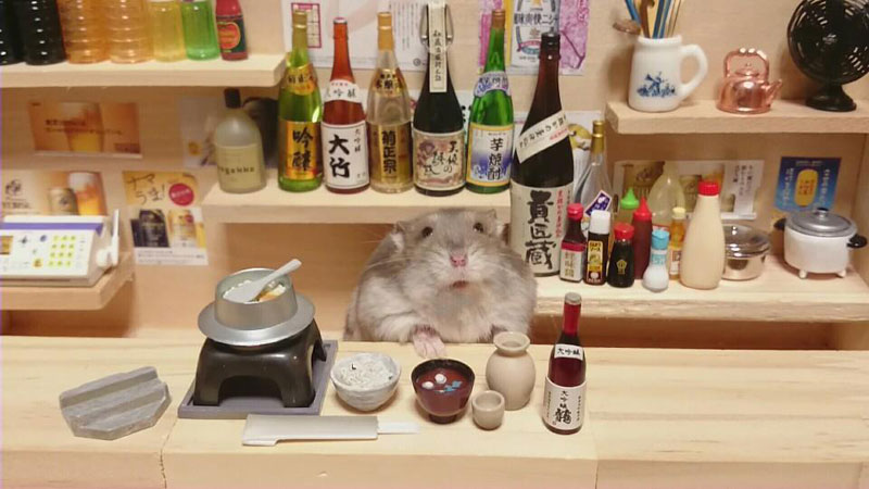 Hamster Shopkeepers Running Restaurants and Bars » TwistedSifter