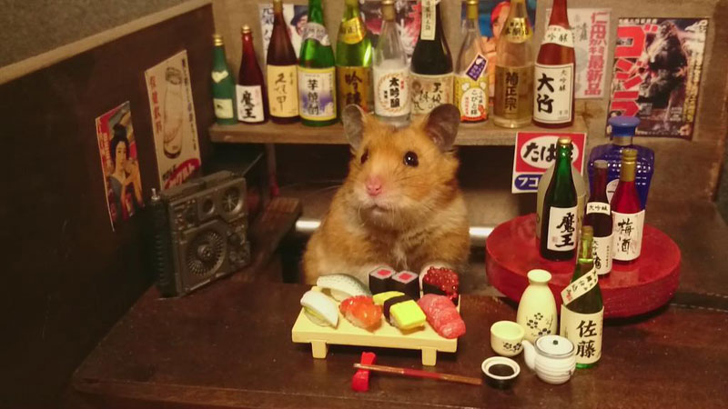 Hamster Shopkeepers Running Restaurants and Bars » TwistedSifter