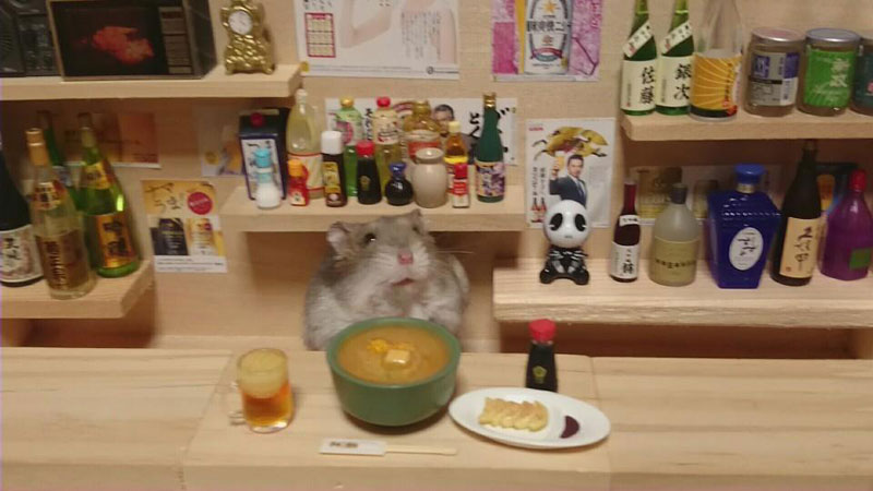 Hamster Shopkeepers Running Restaurants and Bars » TwistedSifter