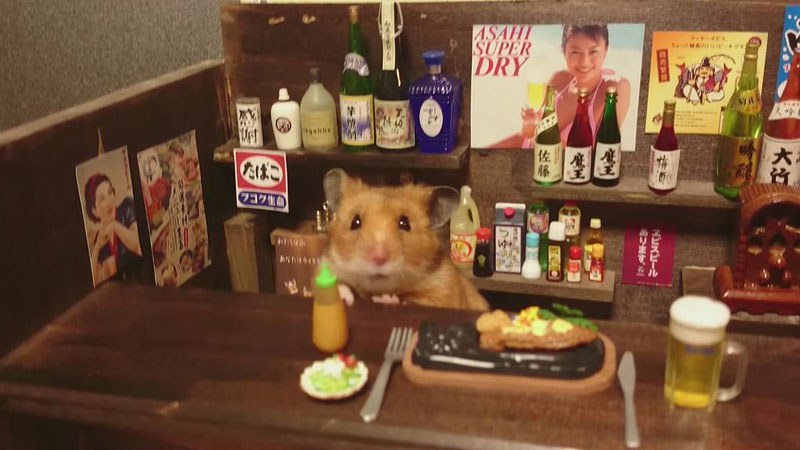 Hamster Shopkeepers Running Restaurants and Bars - TwistedSifter