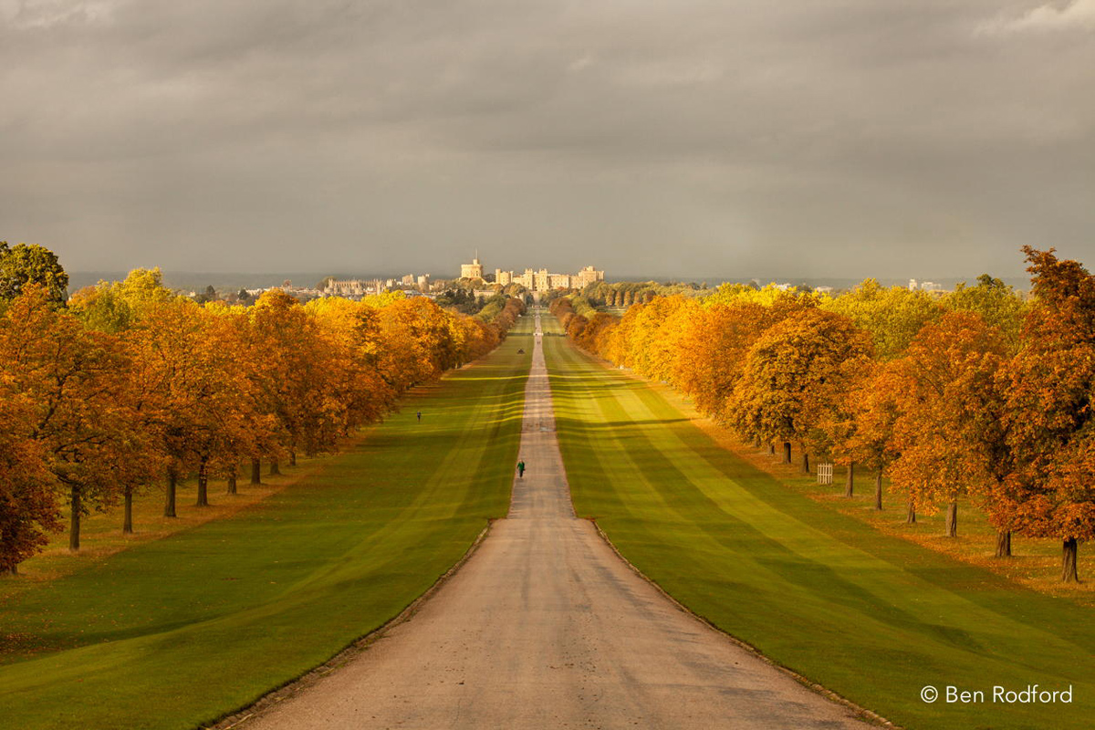Picture of the Day: The Long Walk » TwistedSifter